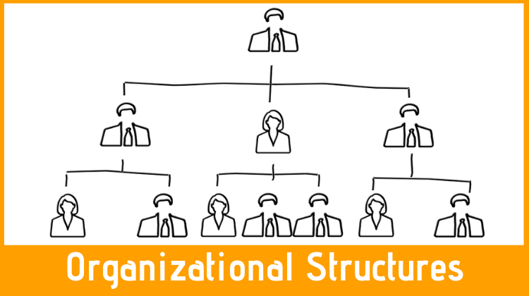 Understanding Organizational Structures for PMP® Exam | PM DRILL Understanding Organizational Structures for PMP® Exam | PM DRILL