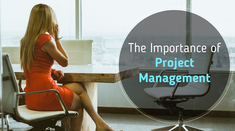 Why project management is important? | PM DRILL